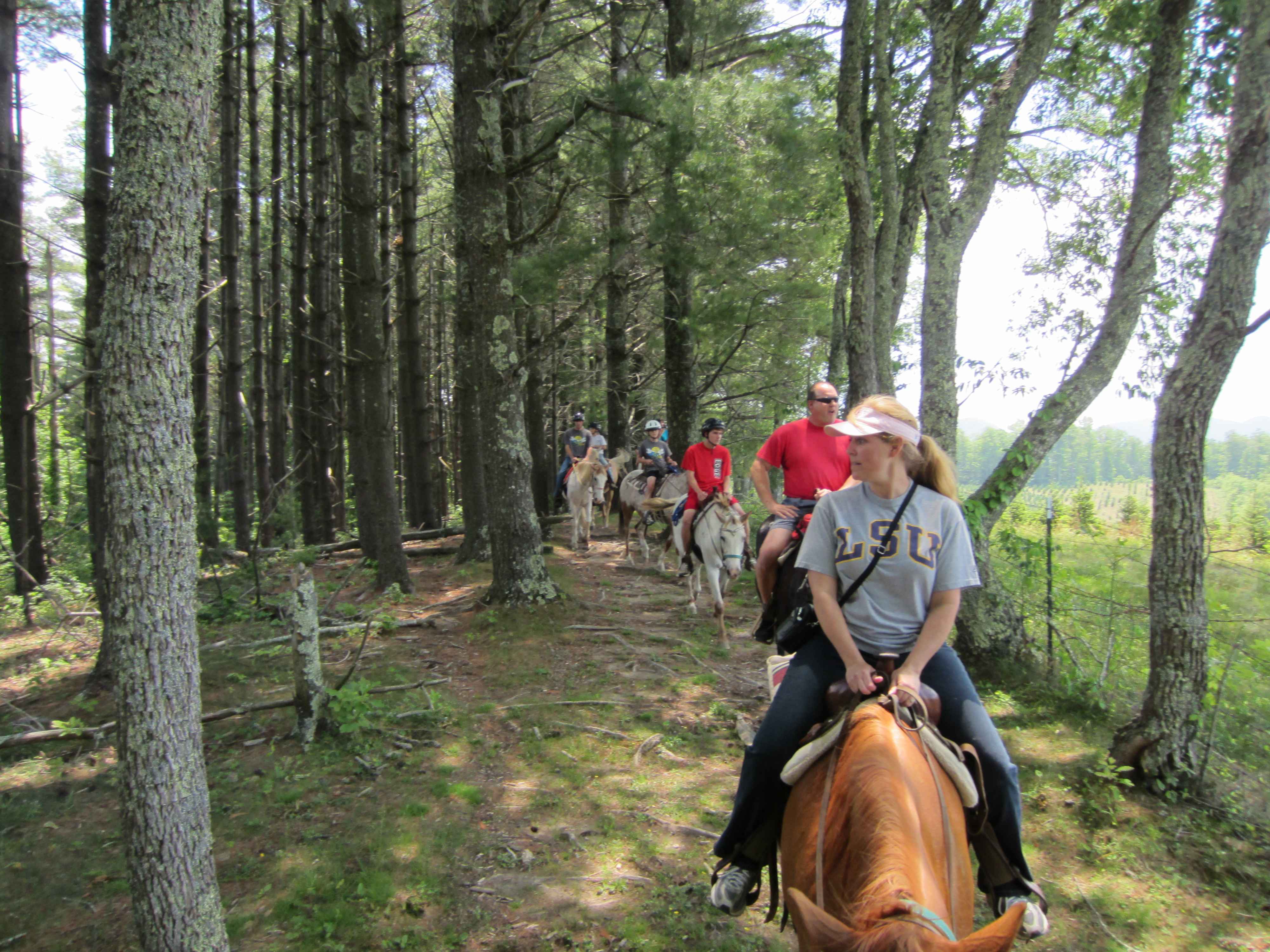 1-Arrowmont Stables & Cabins has the best trail rides in the SE, maybe ...