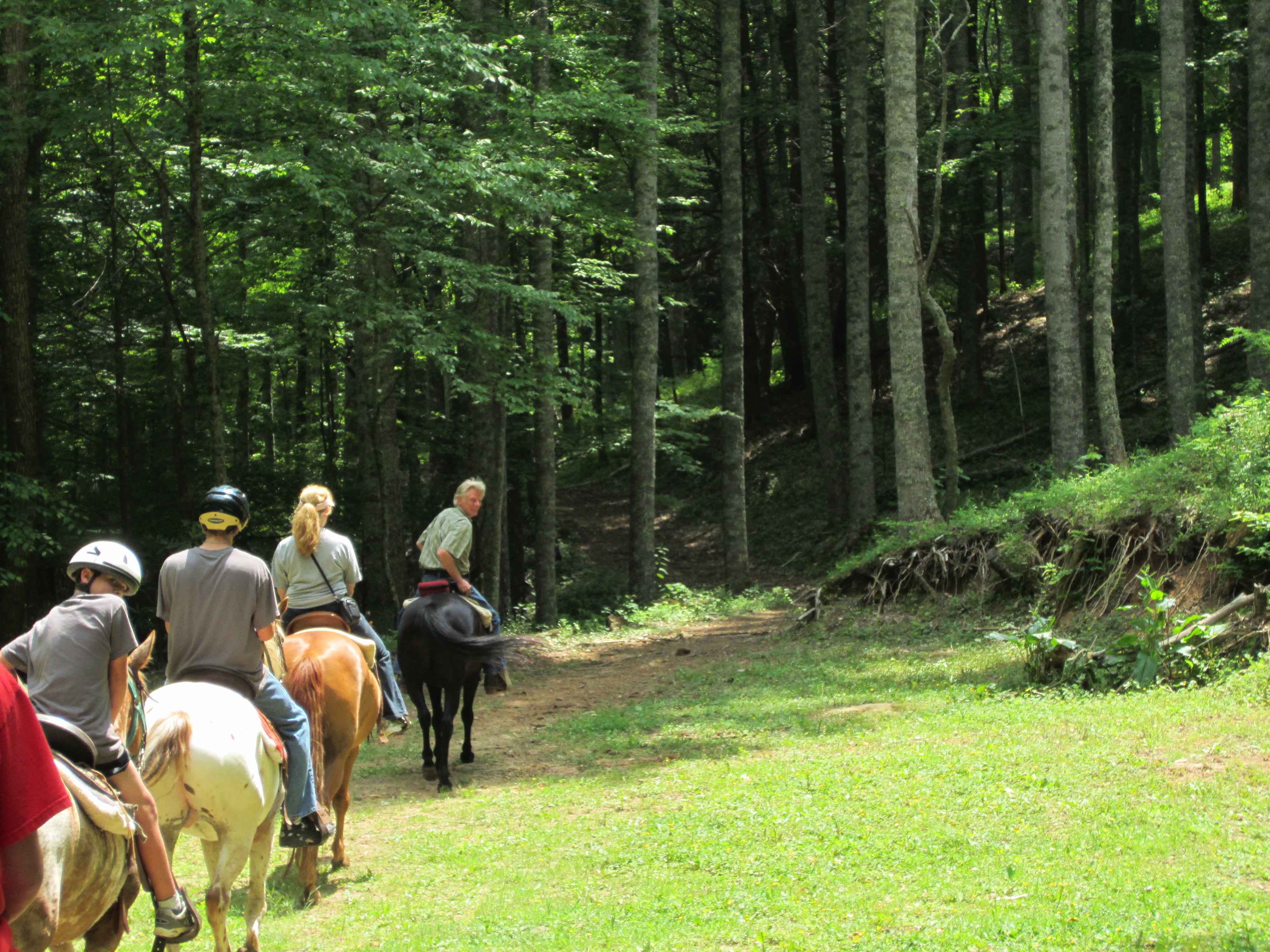 1-Arrowmont Stables & Cabins has the best trail rides in the SE, maybe ...