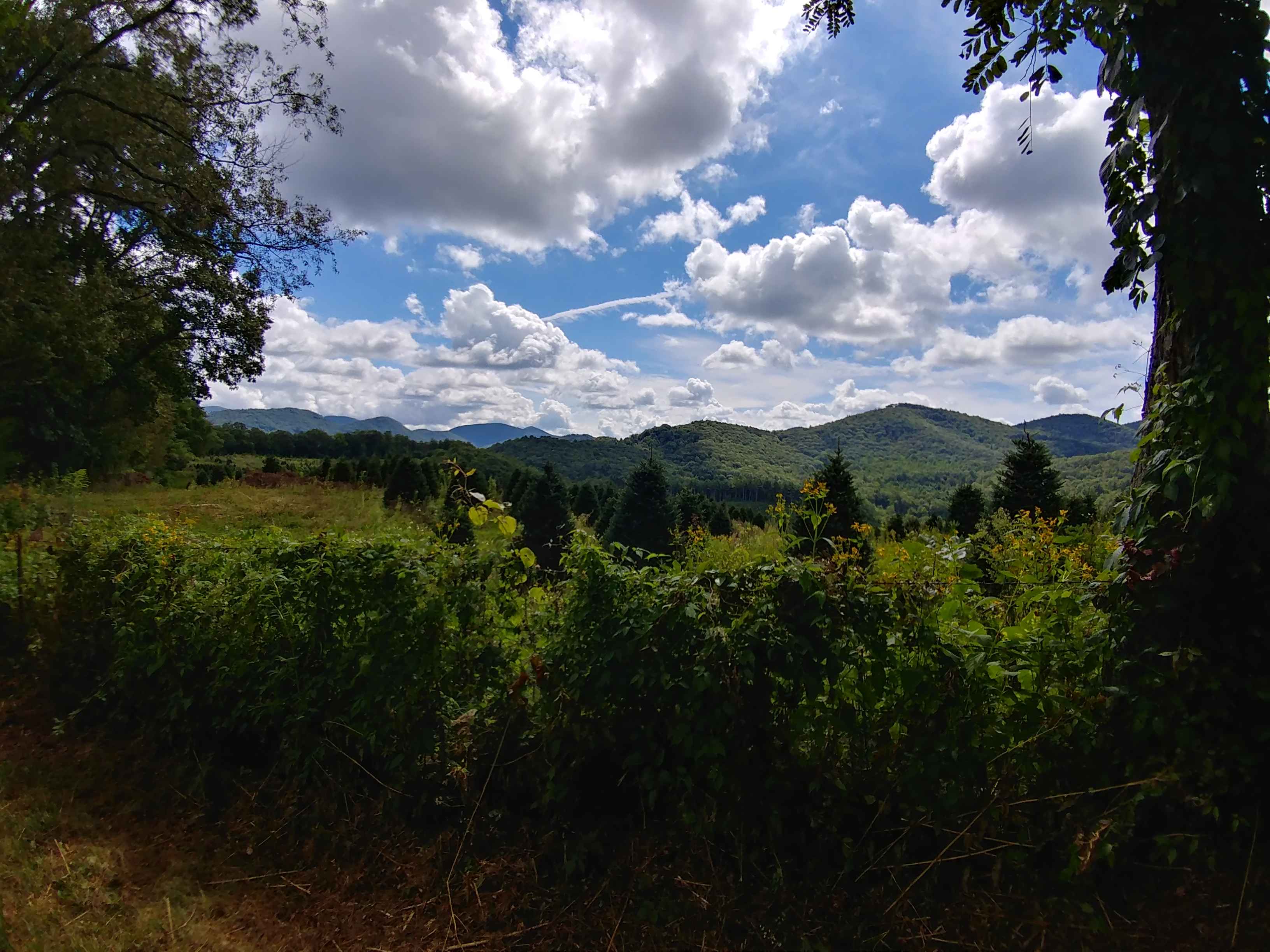 1-Arrowmont Stables & Cabins has the best trail rides in the SE, maybe ...