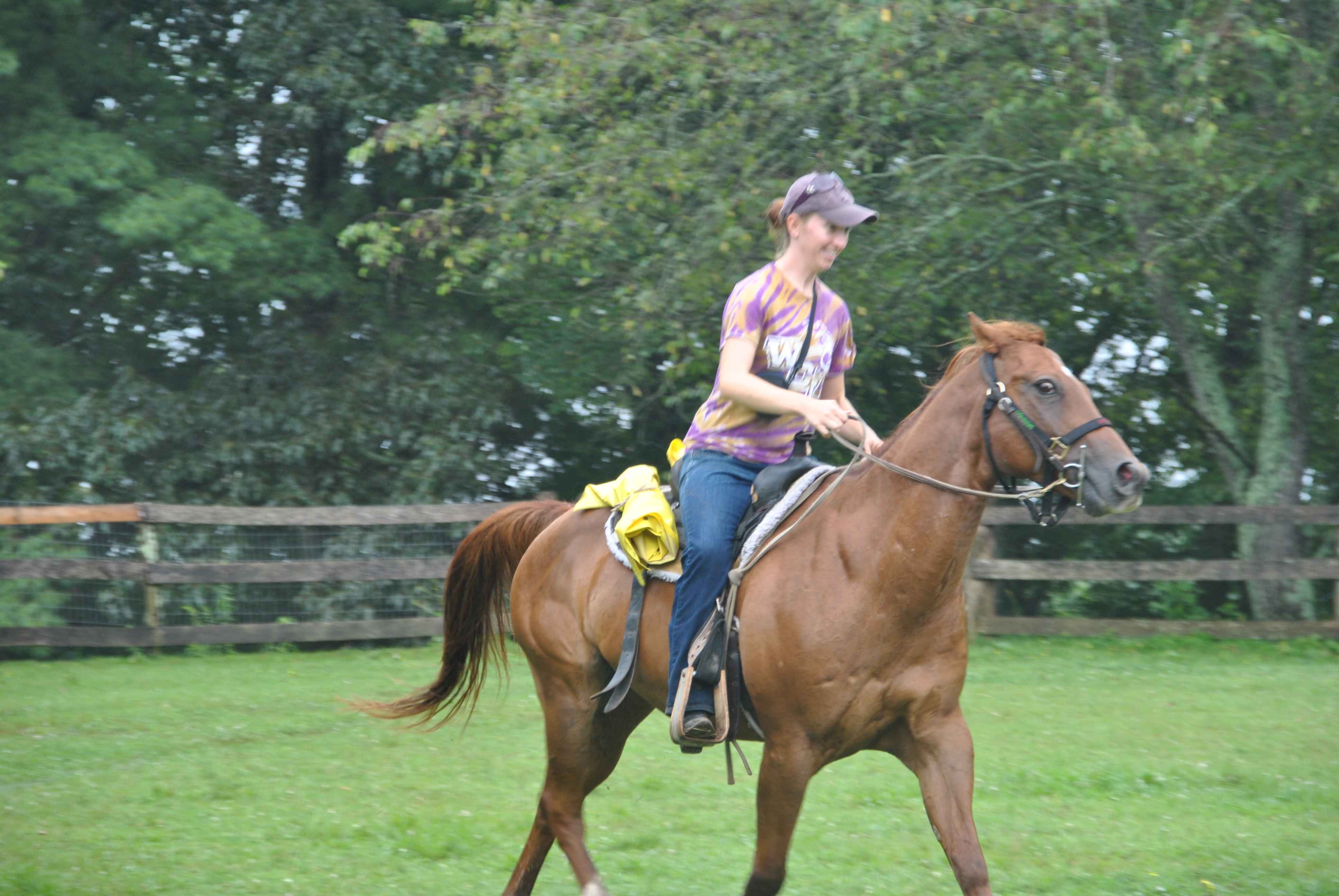 1-Arrowmont Stables & Cabins has the best trail rides in the SE, maybe ...